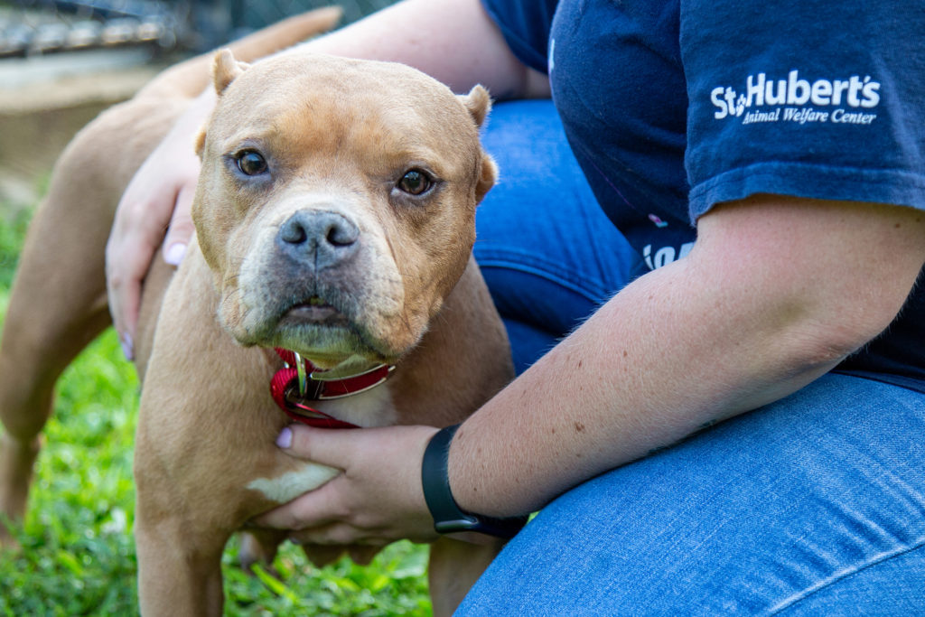 Grad student ‘brings’ pets to group homes - College of Public Health UGA